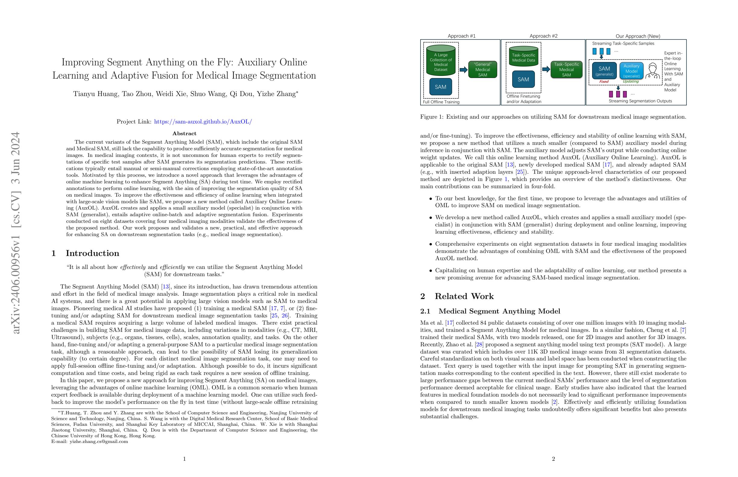 Improving Segment Anything on the Fly: Auxiliary Online Learning and ...