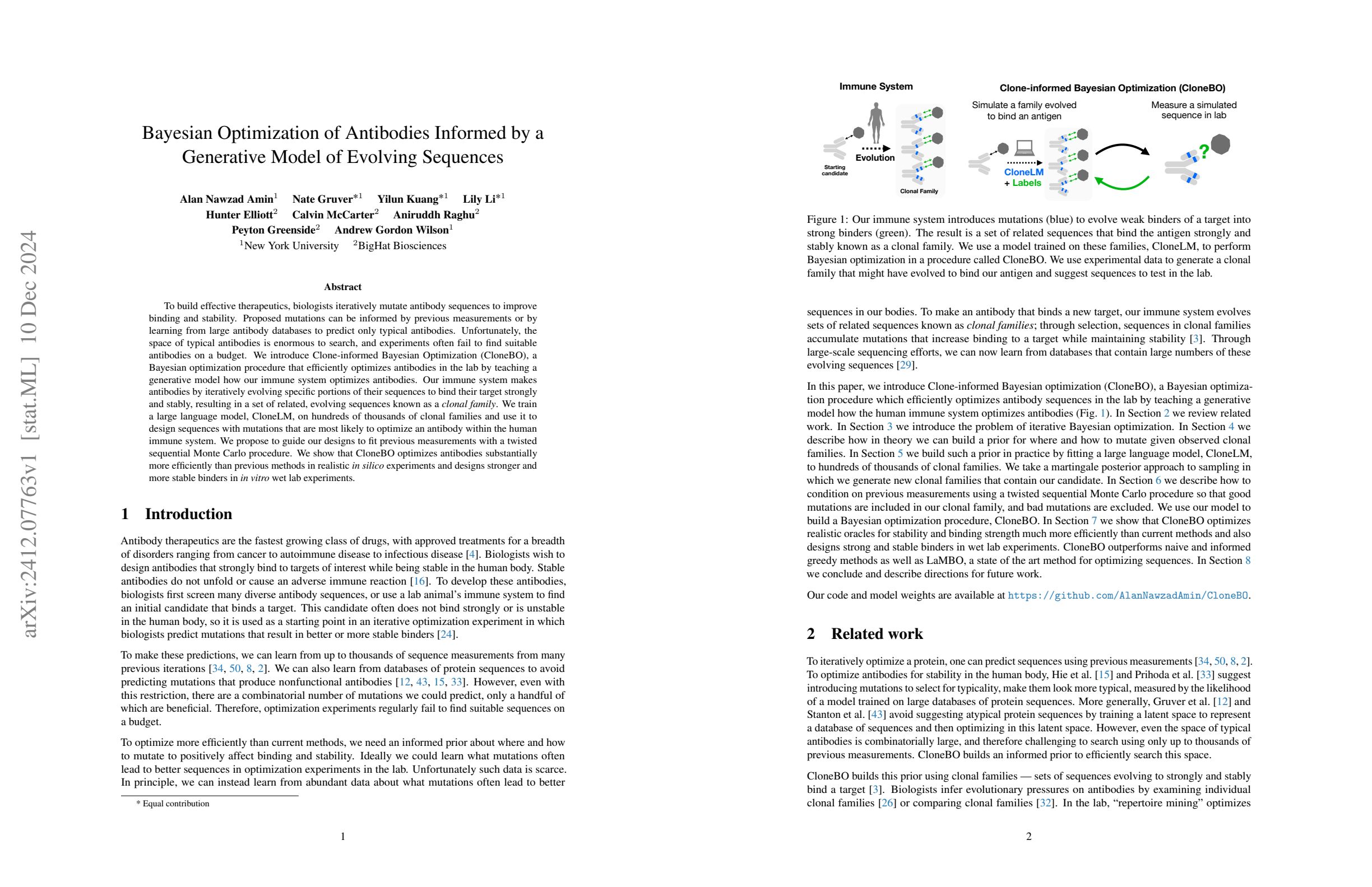 Bayesian Optimization of Antibodies Informed by a Generative Model of ...