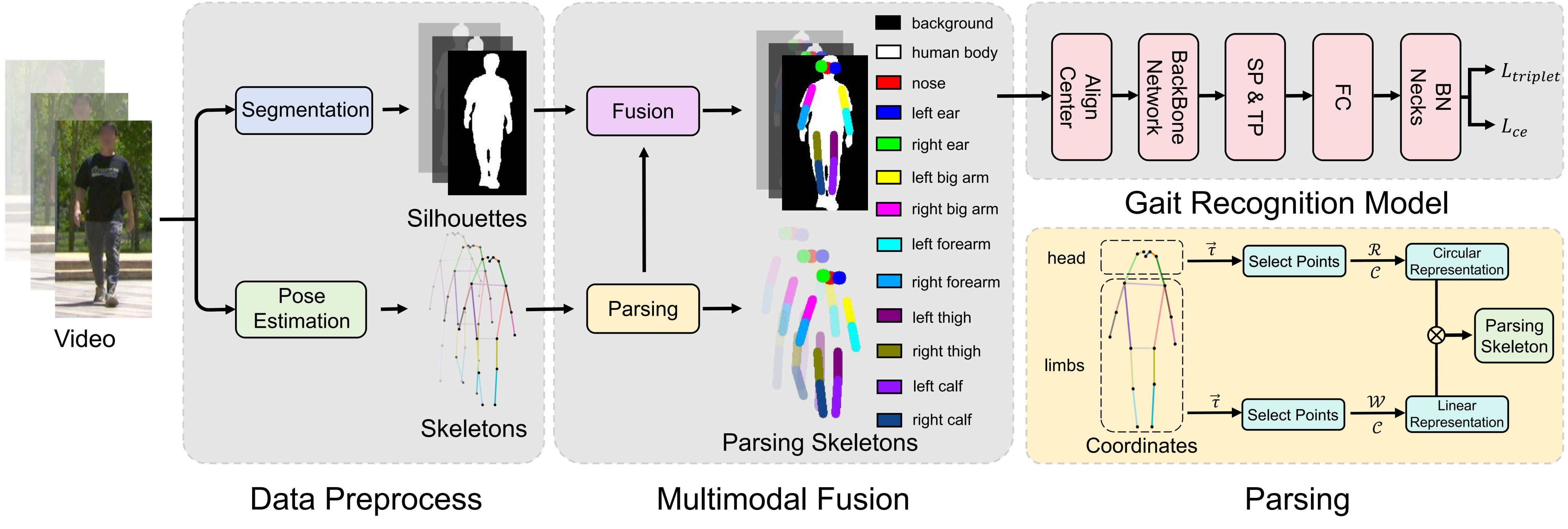 PSGait: Multimodal Gait Recognition using Parsing Skeleton