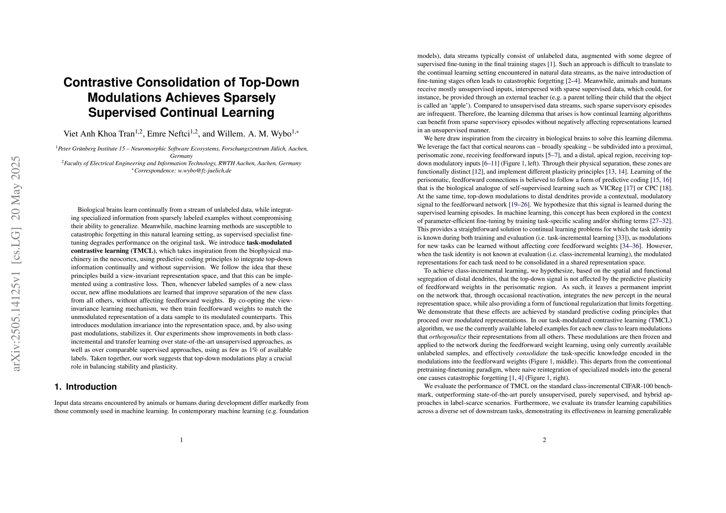 Contrastive Consolidation of Top-Down Modulations Achieves Sparsely ...