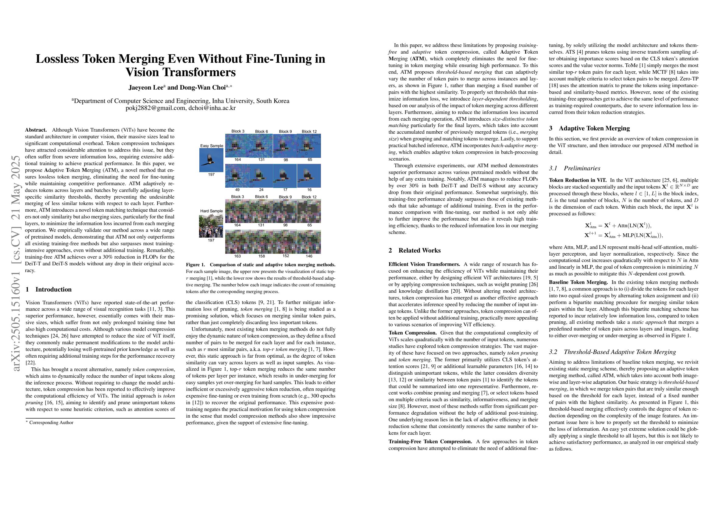 Lossless Token Merging Even Without Fine-Tuning in Vision Transformers