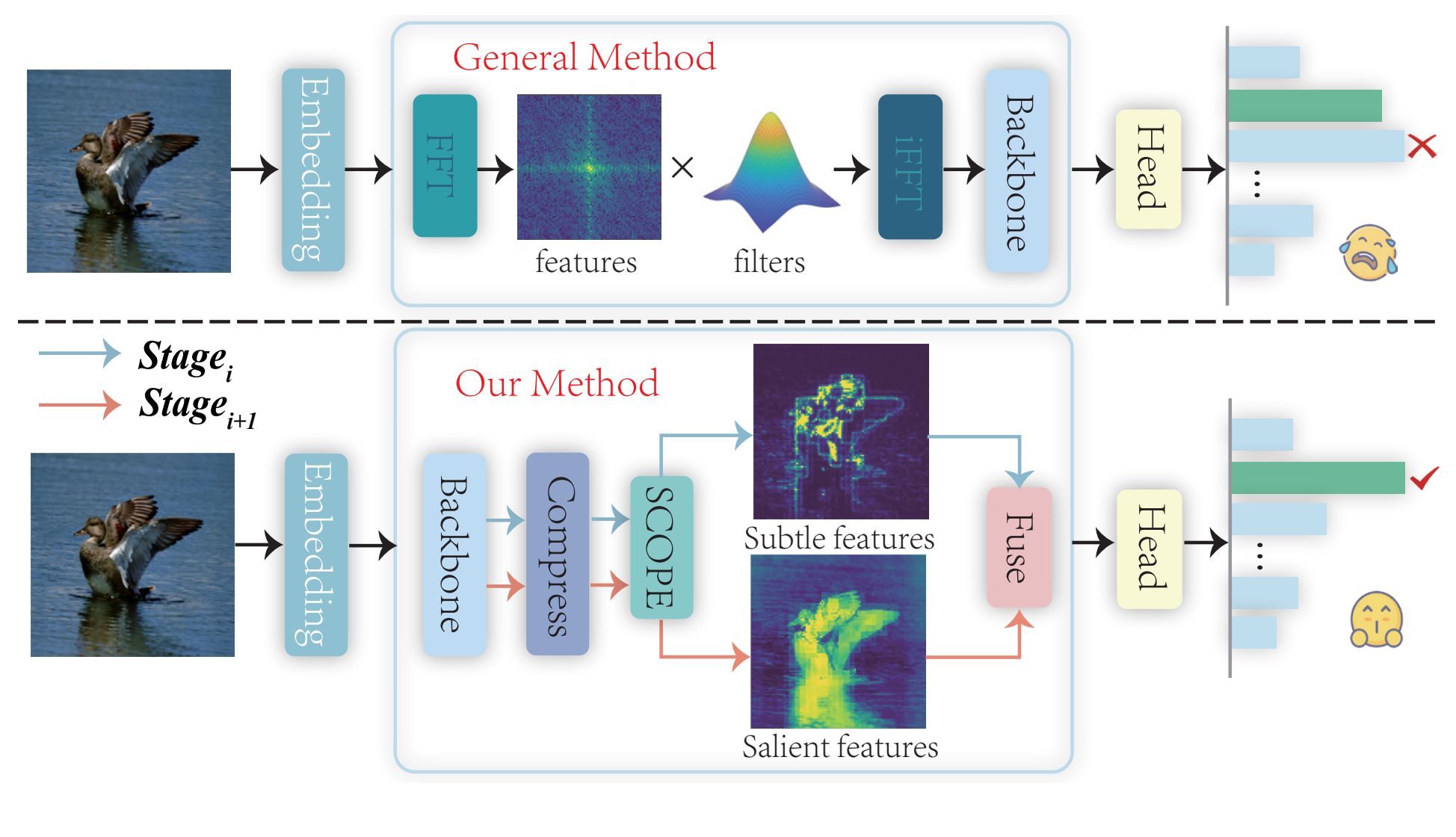 Beyond Frequency: Seeing Subtle Cues Through the Lens of Spatial ...