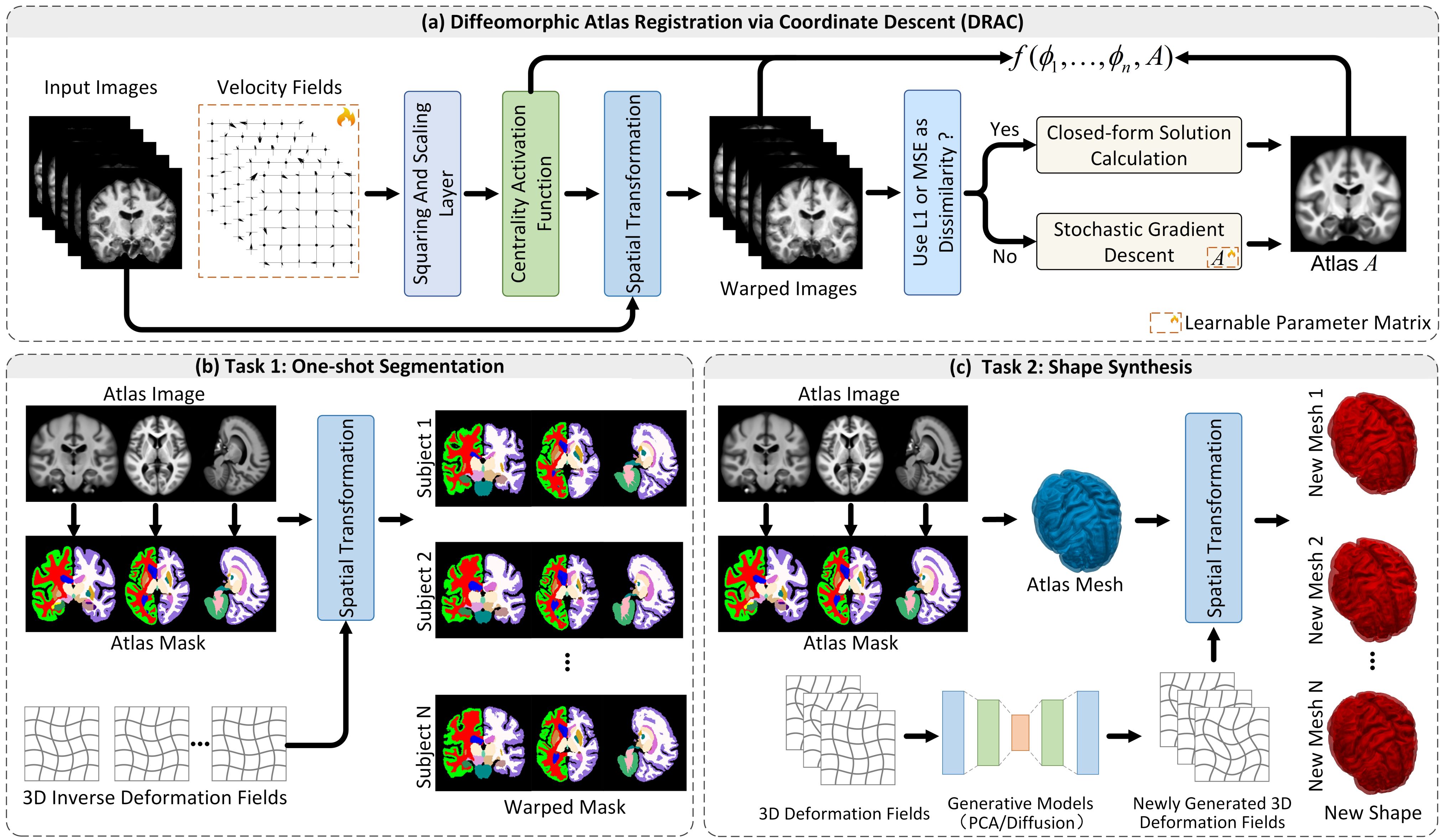 An Efficient Model-Driven Groupwise Approach for Atlas Construction