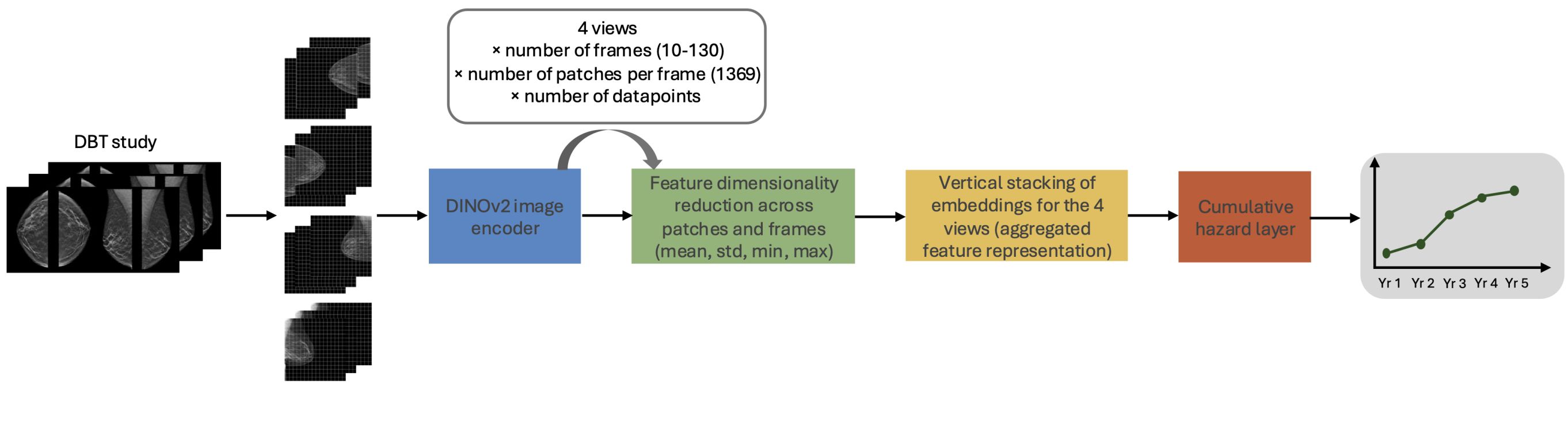 Towards Early Detection: AI-Based Five-Year Forecasting of Breast ...