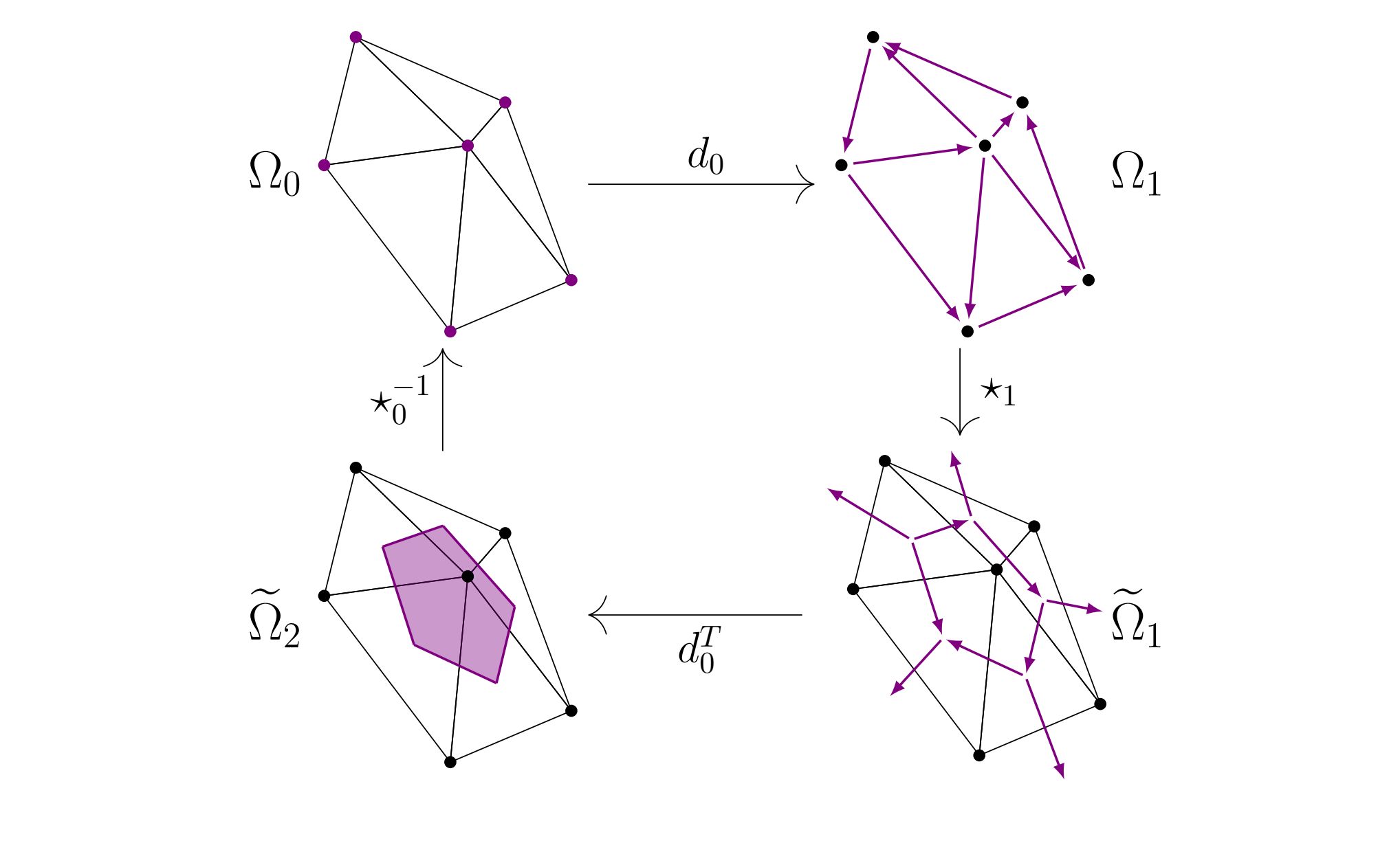 HodgeFormer: Transformers for Learnable Operators on Triangular Meshes ...