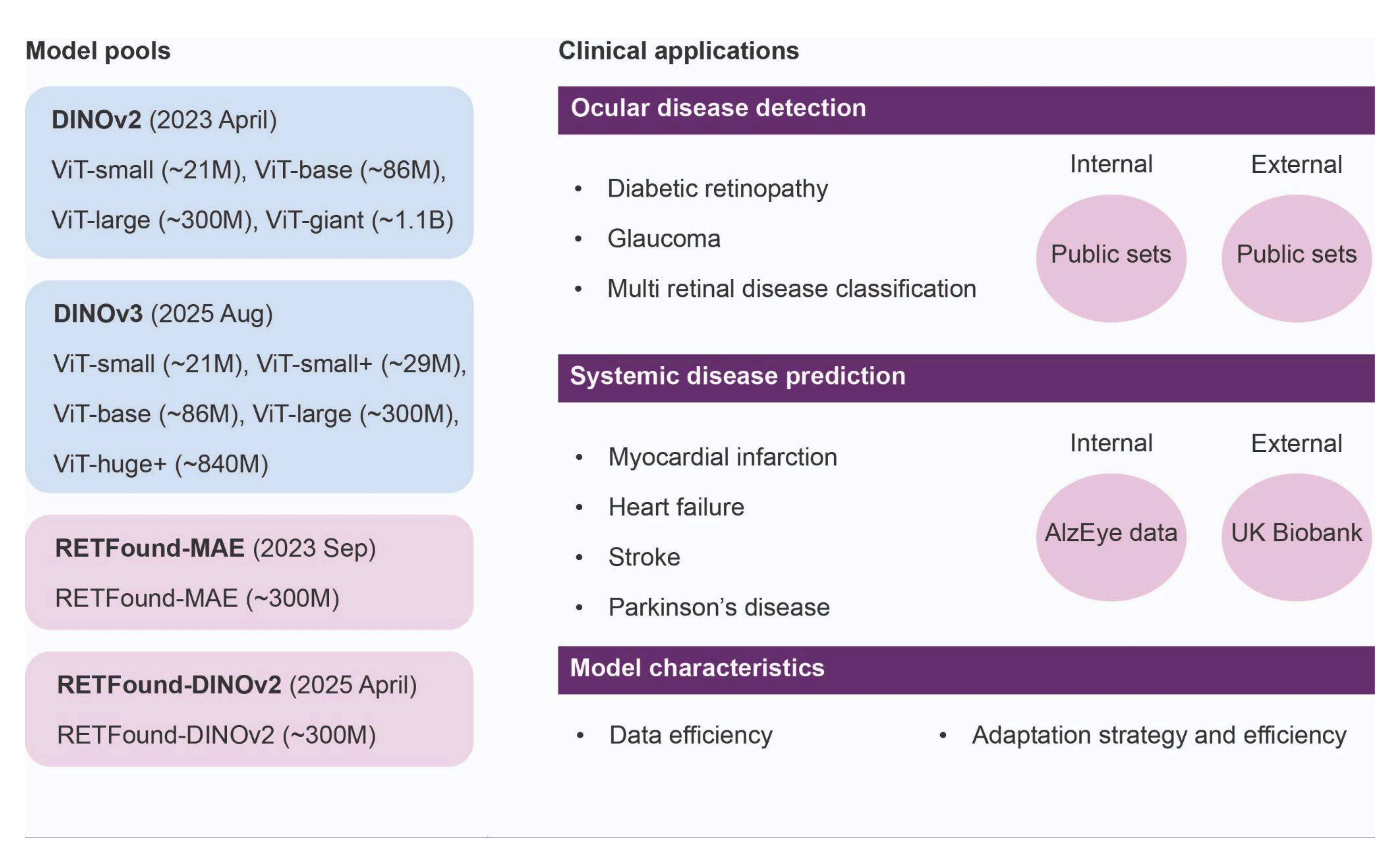 Generalist versus Specialist Vision Foundation Models for Ocular Disease and Oculomics
