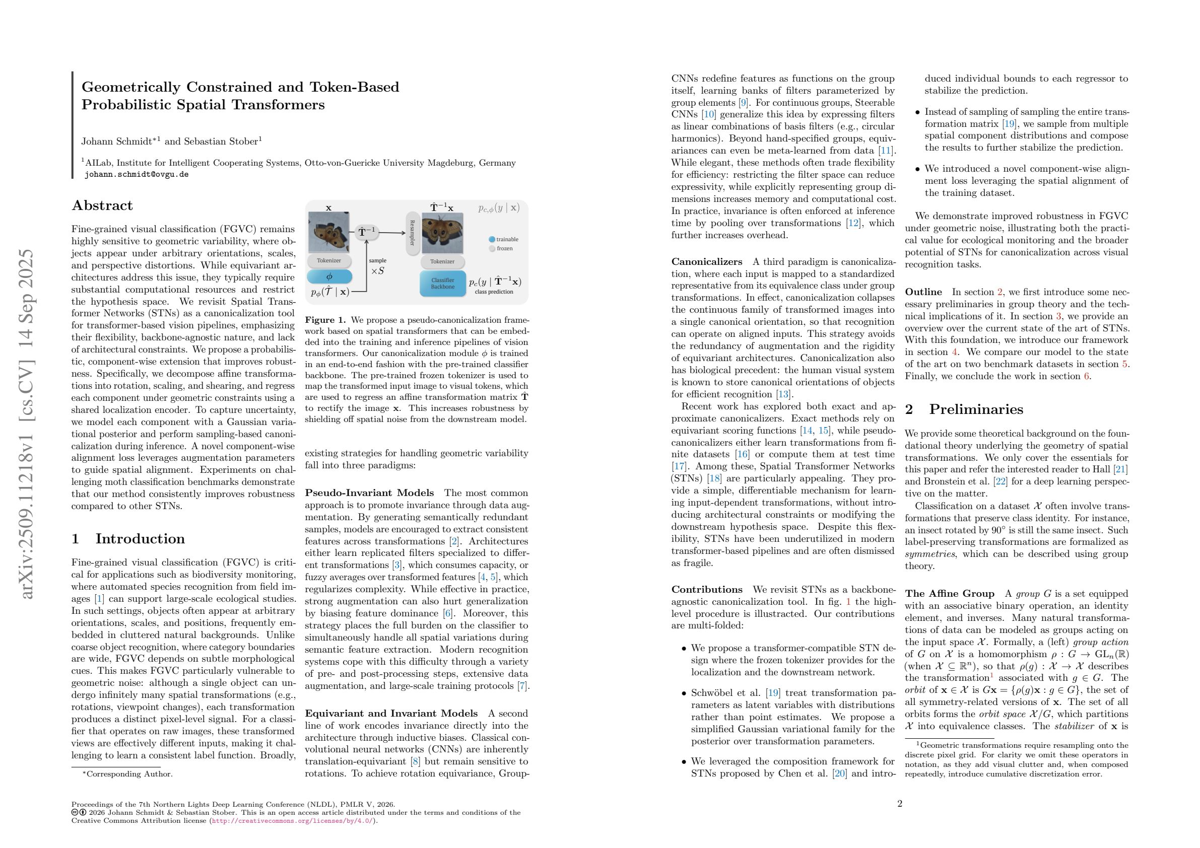 Geometrically Constrained and Token-Based Probabilistic Spatial Transformers