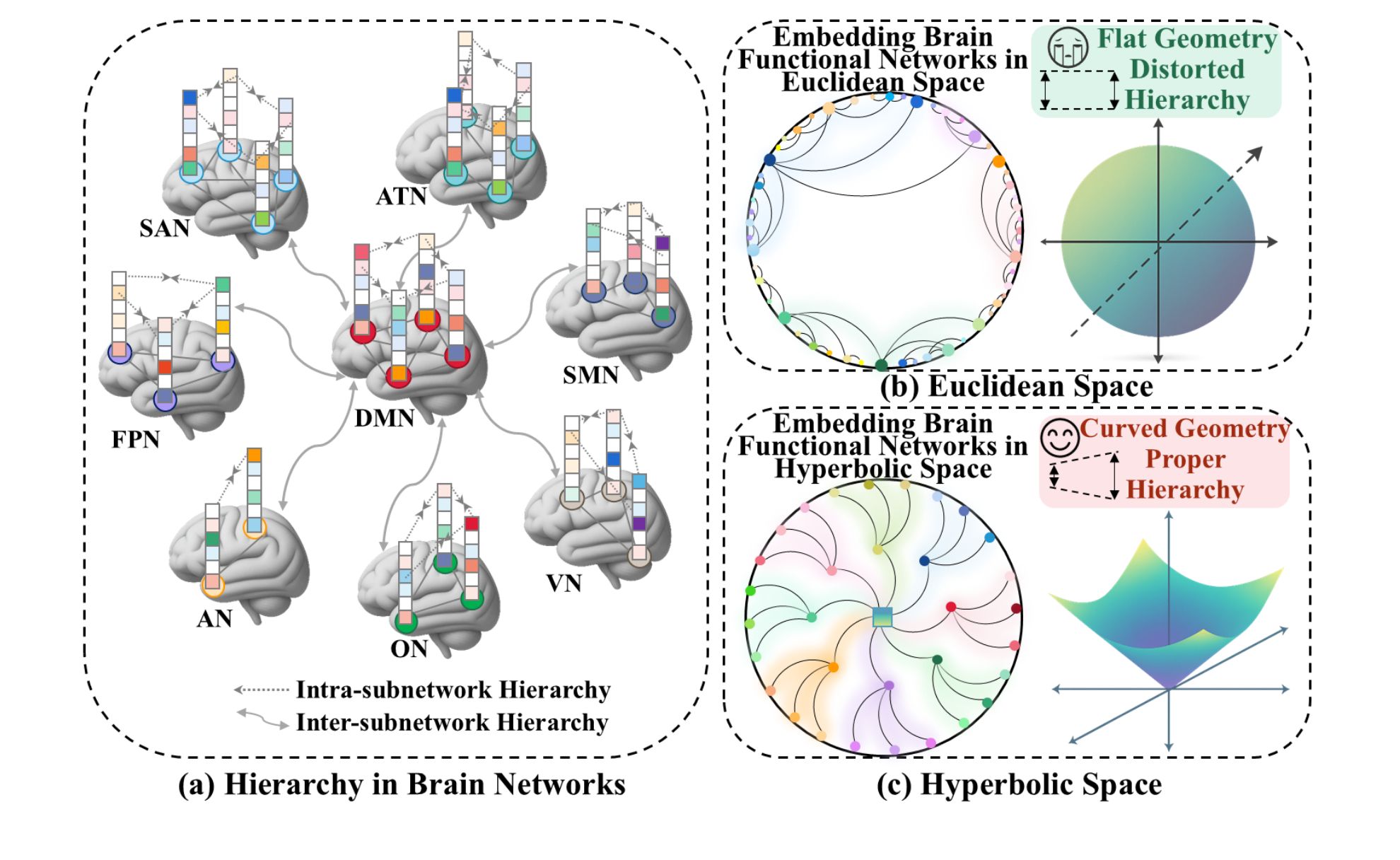 Brain-HGCN: A Hyperbolic Graph Convolutional Network for Brain ...