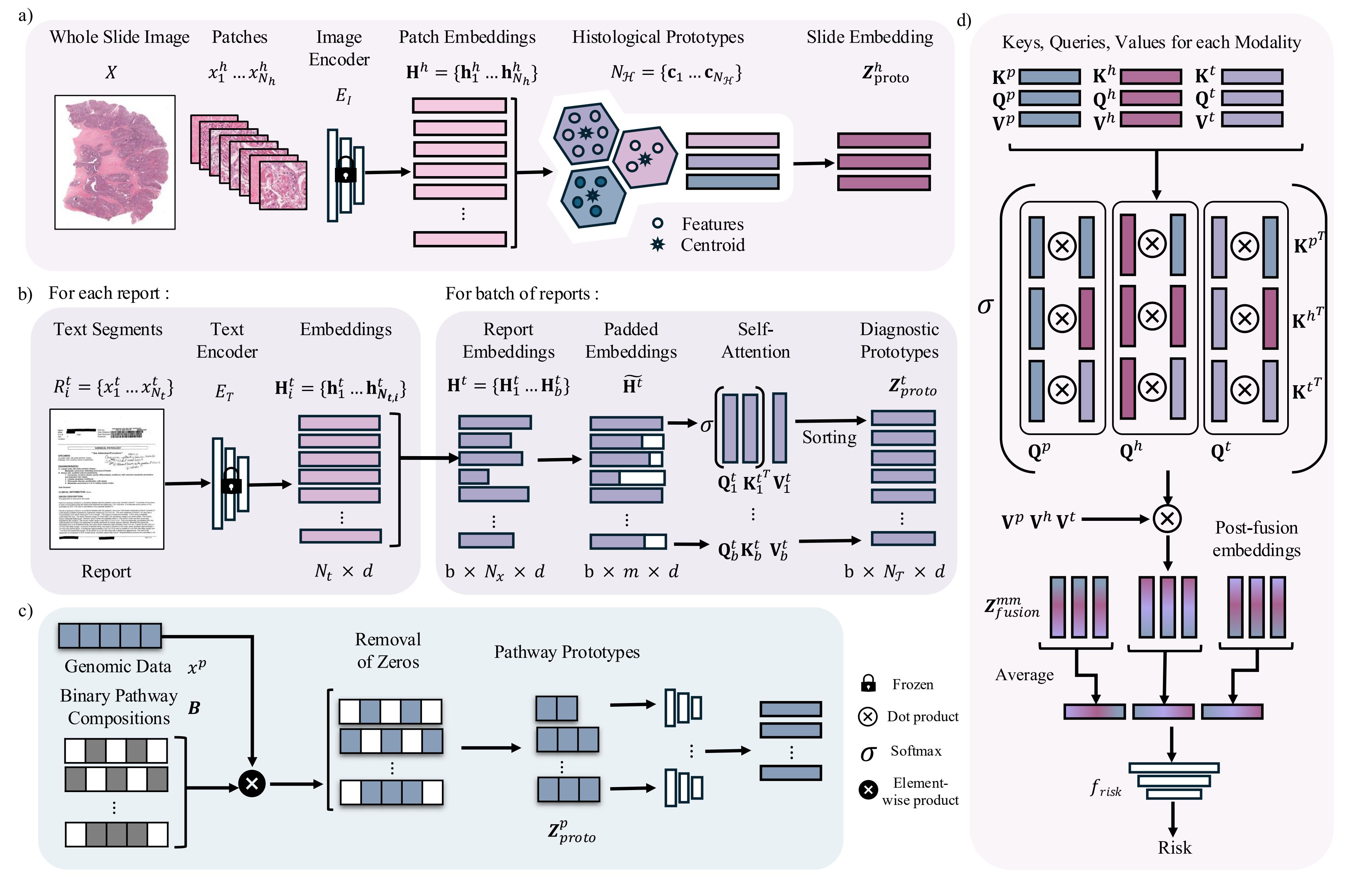 PS3: A Multimodal Transformer Integrating Pathology Reports with ...
