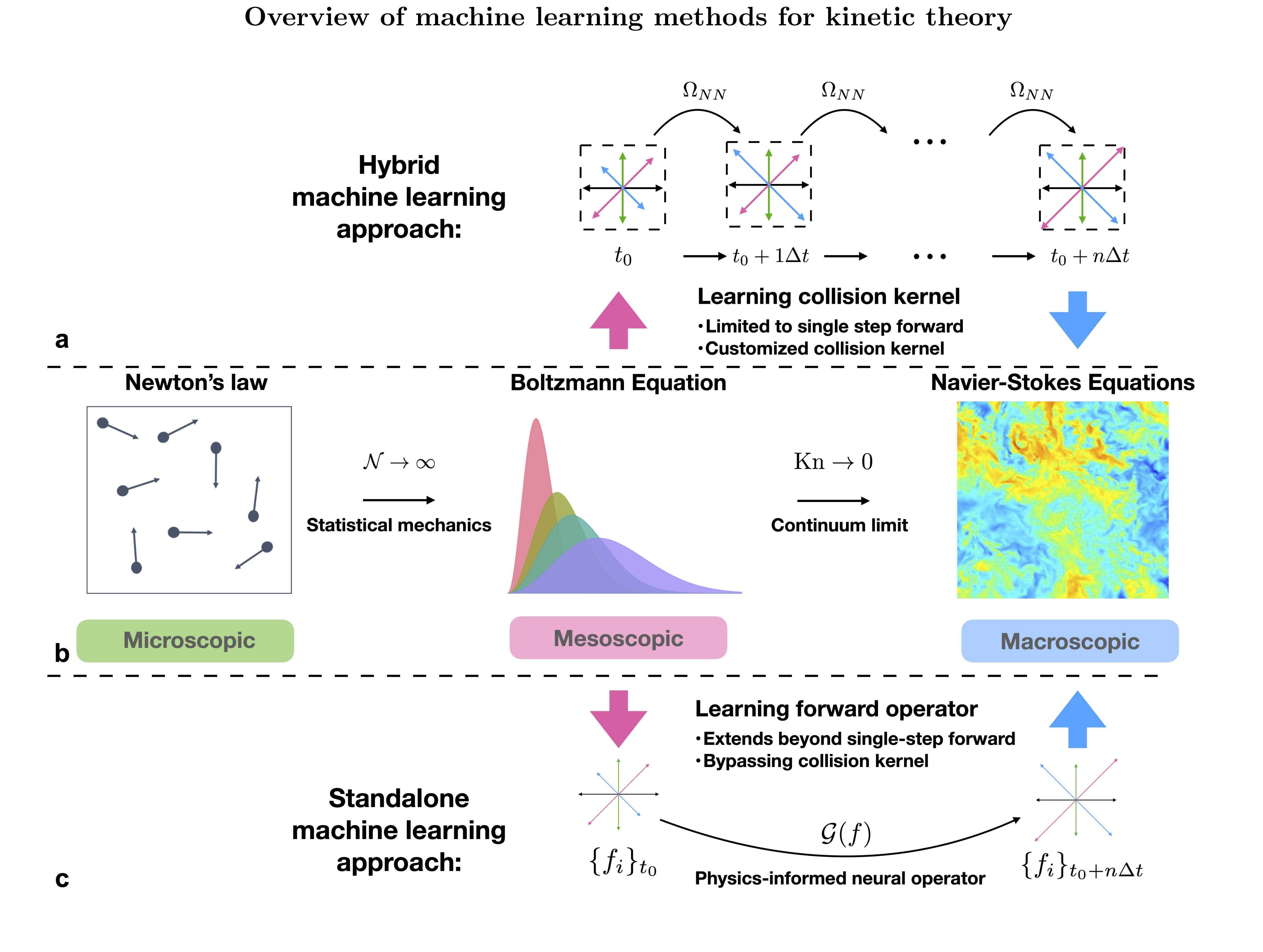 Fast-Forward Lattice Boltzmann: Learning Kinetic Behaviour with Physics ...