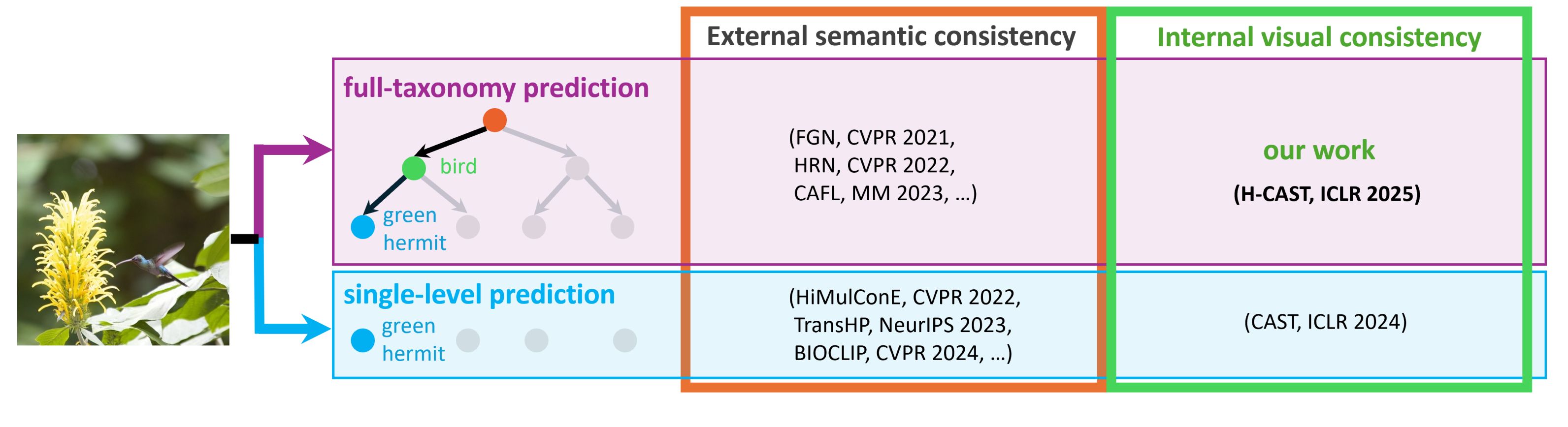 Visually Consistent Hierarchical Image Classification