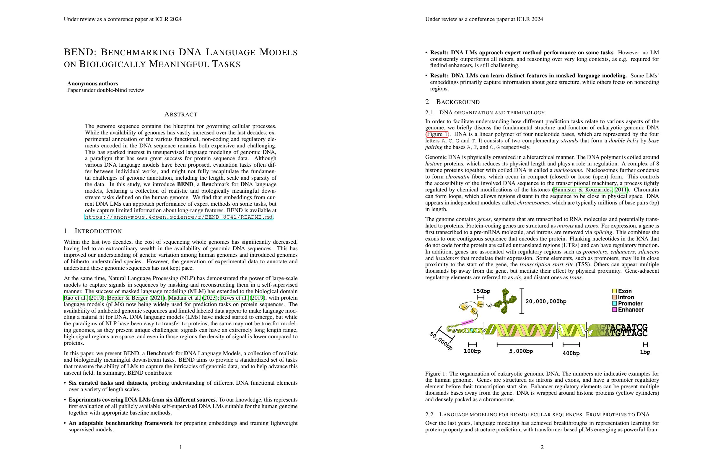 BEND: Benchmarking DNA Language Models on Biologically Meaningful Tasks